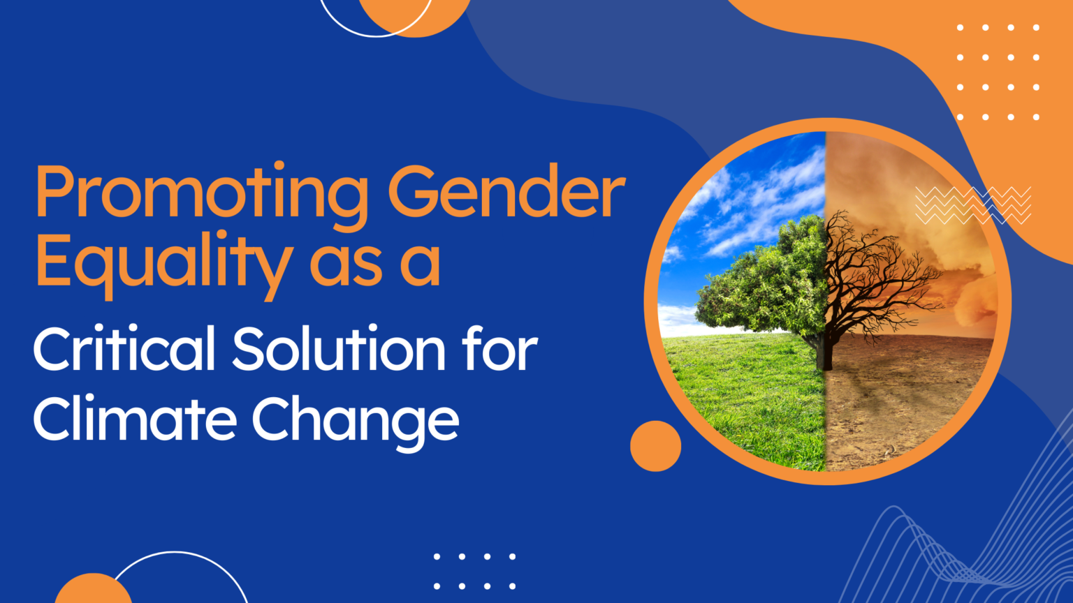Director’s Corner – Gender Inclusive Policy Institute